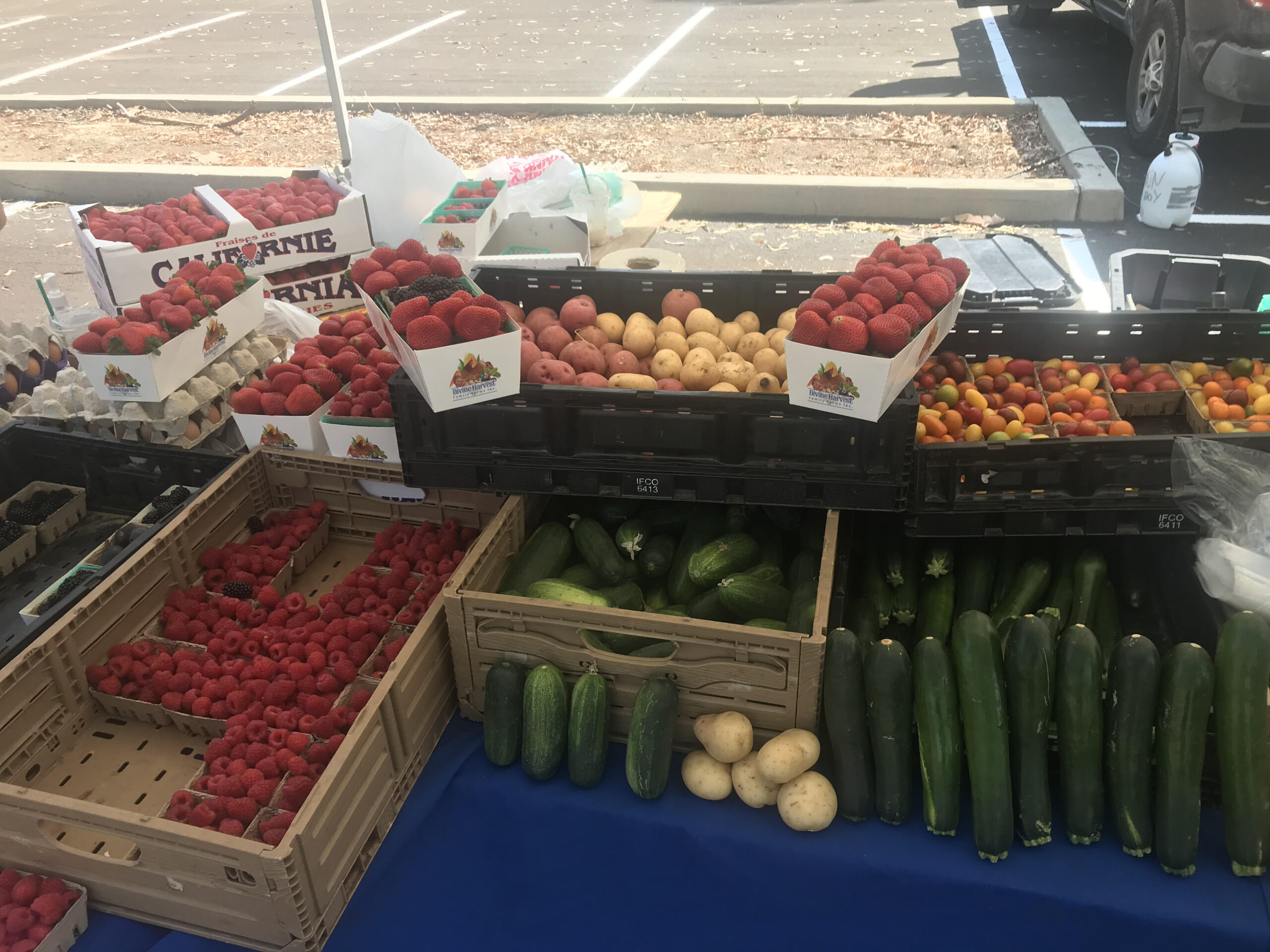 CSUDH CalFresh Hosts a Pantry Pull-Up Farmers Market - THE BULLETIN