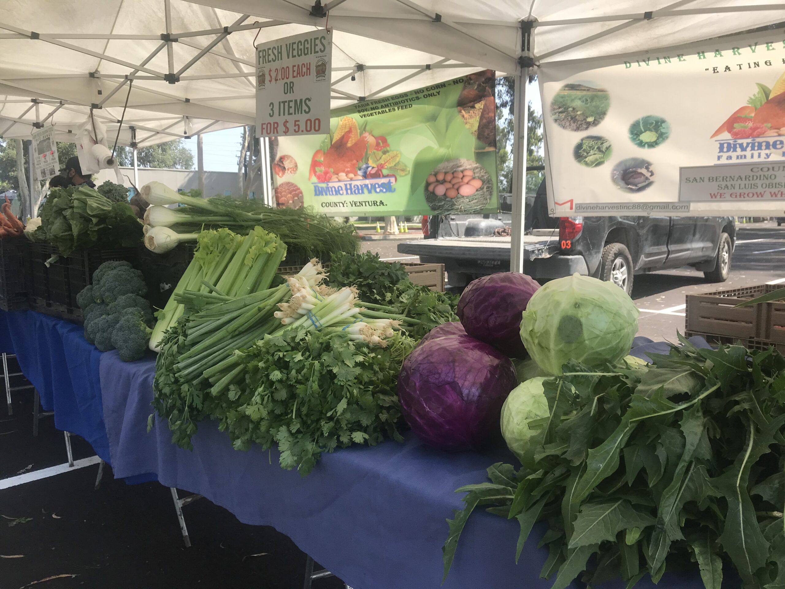 CSUDH CalFresh Hosts a Pantry Pull-Up Farmers Market - THE BULLETIN