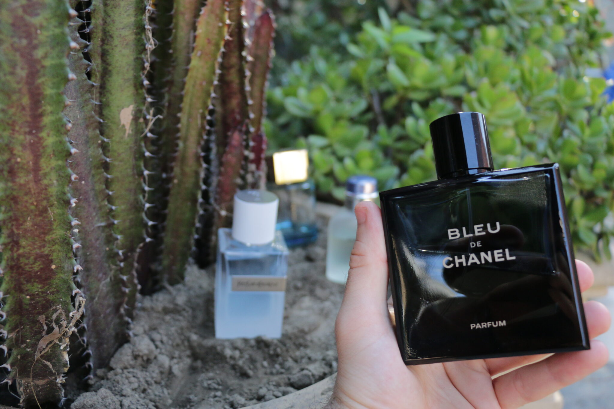 Top 5 Designer Spring Colognes for Men – THE BULLETIN